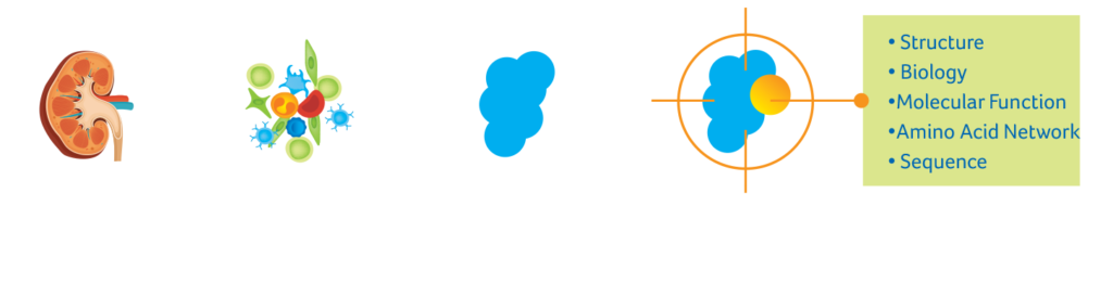 Our Approach - Visterra